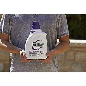 Roundup Super Concentrate Weed & Grass Killer - Includes Easy Measure Cap, 0.5 gal.