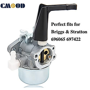 696065 Carburetor Compatible for Briggs & Stratton 697422 110402 110412 215369 Tiller Engine Carb with Mounting Gaskets Kit and 491588S Flat Air Filter Cartridge