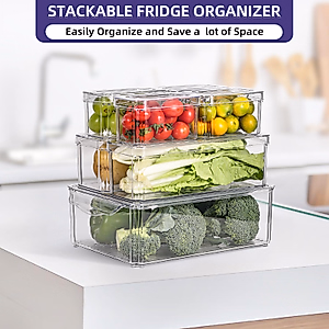 Obsoorth 7 Pack Stackable Fridge Organizer Bins with Lids KitchenClear Acrylic Kitchen Refrigerator Organizers and Storage, Dripping Hole Design to Keep Food Fruit Vegetable Fresh for Freezer, Pantry