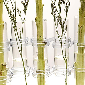 DOITOOL 8Pcs Test Tube Vase Decorative Glass Vase Hinged Bud Test Tubes Vases Planter Arranging Container Hydroponic Holder Decor with Hooks and Brushes 18cm