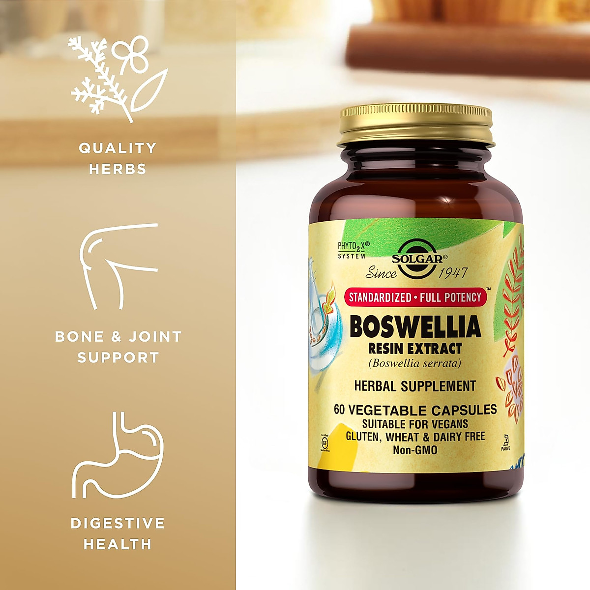 SOLGAR Boswellia Resin Extract Vegetable Caps, 60 CT