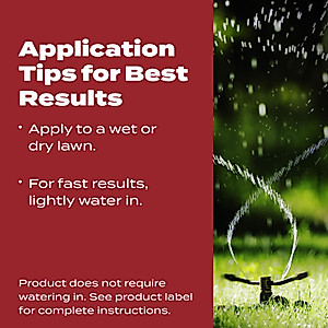 Scotts Turf Builder WinterGuard Fall Lawn Fertilizer for All Grass Types, 4,000 sq. ft., 10 lbs.