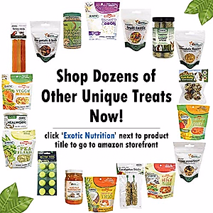 Exotic Nutrition Flower Treat 3 Pack - Healthy Assortment - Hibiscus, Calendula, Rose - for Squirrels, Guinea Pigs, Rabbits, Chinchillas, Prairie Dogs, Degus, Hamster, Gerbils, & Other Herbivores