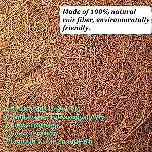 FDGARDEN 2PCS Round Replacement Coco Liner for Hanging Basket, 12 inch Coconut Fiber Plant Basket Liner for Garden Planter Flower Pot (12 inch Round)