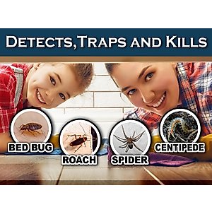 MaxGuard Bed Bug Traps (24 Traps) Non-Toxic Bed Bug Detection Traps. Detects, Traps, and Kills Bed Bugs and Crawling Insects Such as Spiders, Crickets, Cockroaches and Ants