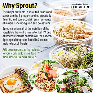 RIMONA'S 316 Sprouting Lids for Wide Mouth Mason Jars with Stainless Steel Curved Mesh Strainers - 9 pack (3 lid rings, 3 strainers of 1mm size, 3 strainers of 2.5mm size)