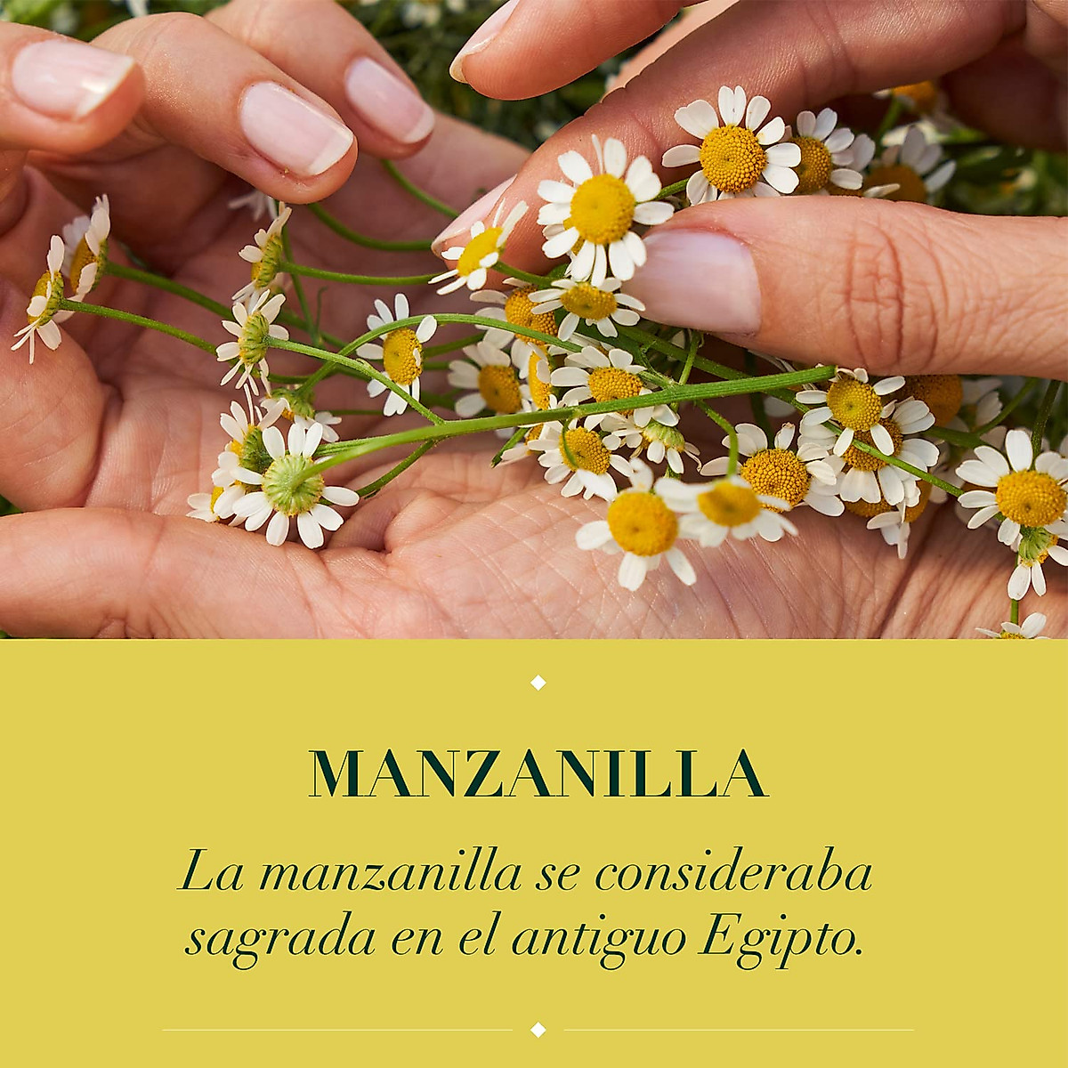 Herbal Essences Shine Collection Conditioner 13.5 Fl Oz