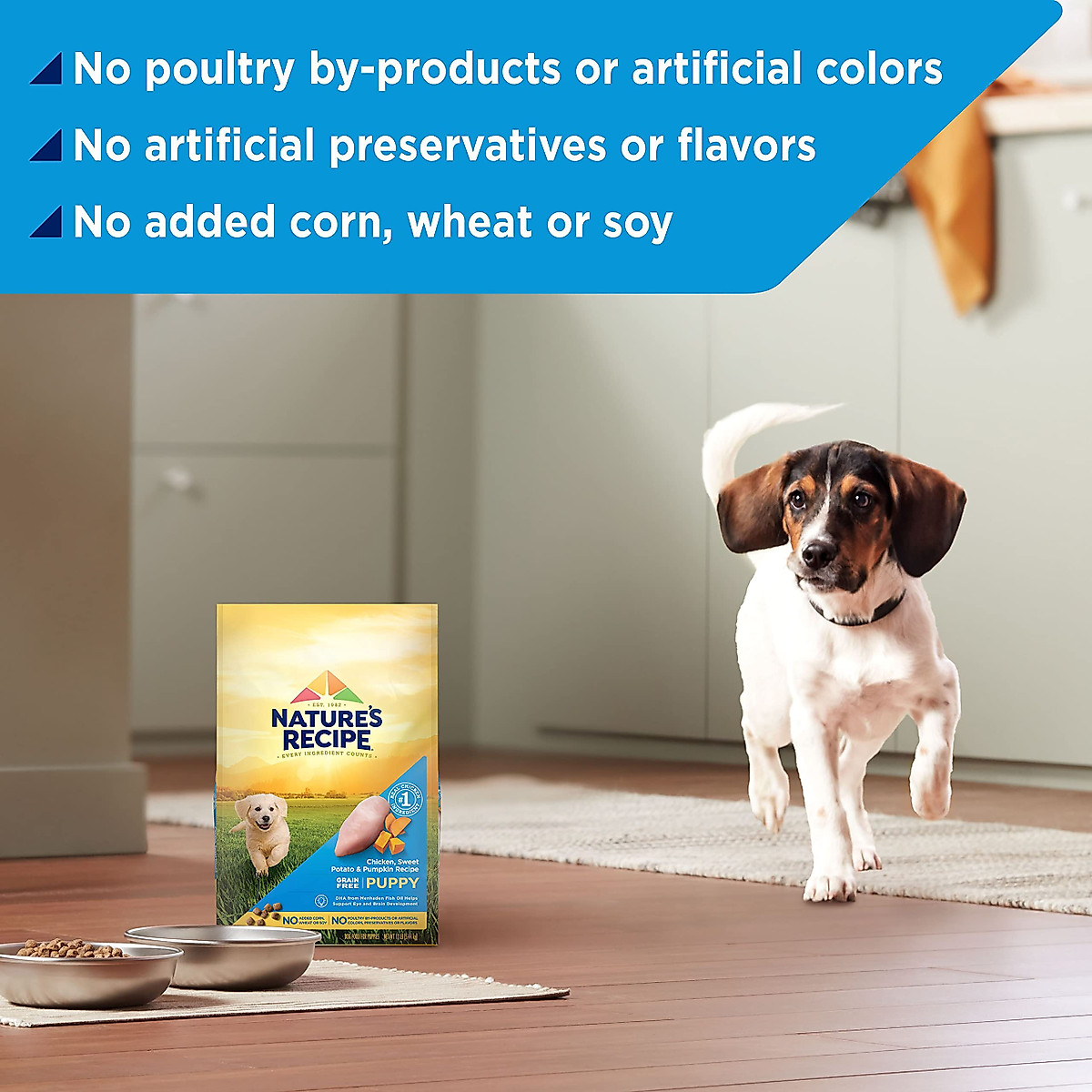 Nature’s Recipe Grain Free Chicken, Sweet Potato & Pumpkin Recipe, Dry Puppy Food, 12 Pounds (Packaging May Vary)