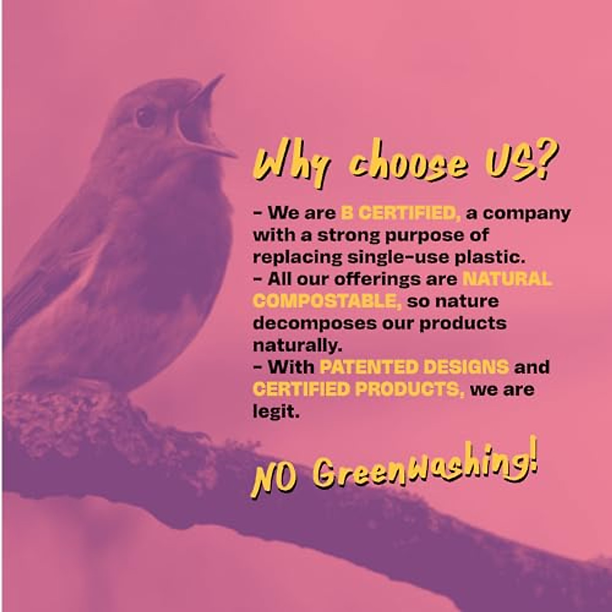 Clickeat Biodegradable Straws 100% Natural, Compostable, Disposable - 210 PCS, Eco-Friendly, Ideal for Restaurants, Coffee Stirring, Made with Rye Stalks - Sustainable Choice for Your Beverages