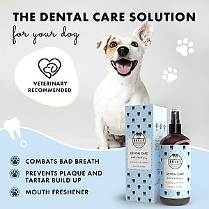 Belly Fresh Breath for Dogs Spray: Dog Breath Freshener & Dog Dental Care Spray. Ideal for: Dog Plaque and Tartar - Dog Chews, 17 Fl. Oz