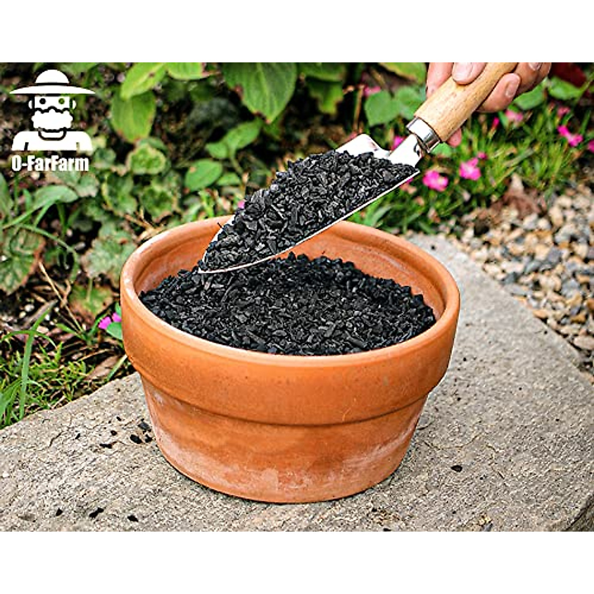 O-FarFarm Horticultural Charcoal for Potted Plants 1 QT, Hardwood Charcoal for Potting Soil Amendment, Orchids, Terrariums, and Gardening