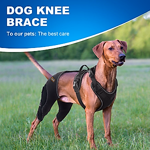 CHAMIN Dog Leg Braces for Hind Leg, Dog Acl Knee Brace Support for Cruciate Ligament Injury，Osteoarthritis, Luxating Patella, Muscle Sore,et(Extra Large)
