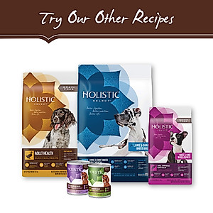 Holistic Select Natural Grain Free Dry Dog Food, Adult & Puppy Salmon, Anchovy & Sardine Recipe, 24-Pound Bag