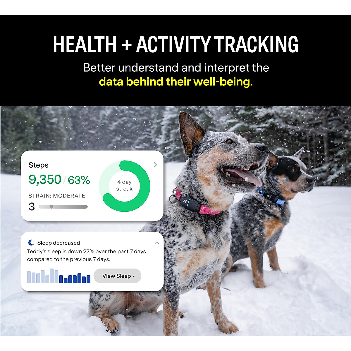 Fi Series 3 Smart Dog Collar - GPS Dog Tracker and Activity & Health Monitor, Waterproof, LED Light, Escape Alerts, Nationwide Coverage [Free 1 Year Membership] (Blue, Large)