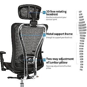 Cedric Office Chair,Breathable Mesh Computer Chair with Ergonomic Adjustable Lumbar Support, Black Swivel Desk Chair with Adjustable Armrest and Headrest, Mesh Seat,BIFMA Certification No 5.1