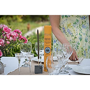 Nantucket Spider Mosquito & Fly Repelling Outdoor Garden Incense Sticks Bundle | 2 Pack (28 Sticks) & Artisanal Stone Block Incense Holder (1ct) | Woodland (14 Sticks) & Sun and Sand (14 Sticks)