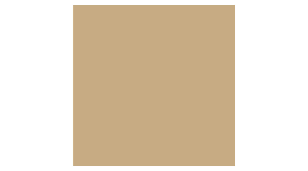 Almay i-Color Evening Smoky Palette | Enhance Your Eyes