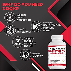 Coenzyme Q10 High Potency COQ10-40mg UBIQUINOL for Dogs (120 Tabs) Made in U.S.A. CoQ10 for Dogs