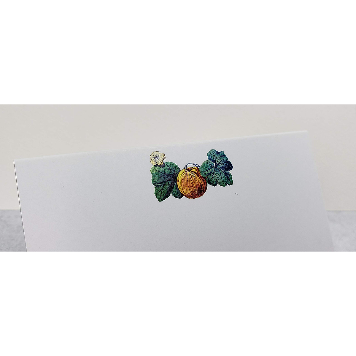 Nancy Nikko Place Cards Autumn Theme w/Pumpkin and Leaves. for Weddings, Showers, Dinners, Parties and Special Events Table Tent Style, Scored for Easy Folding. Pkgs of 12/25 / 50 (25)