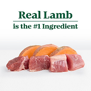 Nutro Limited Ingredient Diet Large Breed Adult Dry Dog Food, Lamb & Sweet Potato Recipe, 22 lbs.