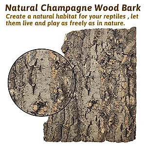 Hamiledyi Reptile Bark Bedding Tortoise Cork Bark Flats Natural Bulk Terrarium Cork Wood Tank Substrate Supplies for Snake Spiders Bearded Dragons Hermit Crabs Geckos (1 LB)