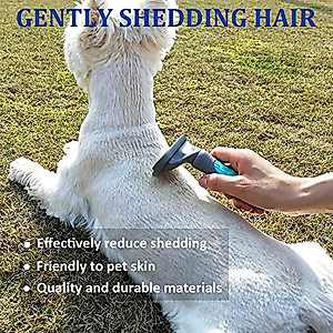 Beiker Pet Grooming Kit for Cats and Small Dogs, Undercoat Deshedding Tool Set, Gently and Effectively Remove Loose Hair and Reduce Shedding, Includes a Brush and a Double-Sided Silicone Glove