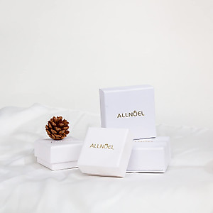 ALLNOEL Colorful Cubic Zirconia Necklace Gold Sterling Silver Double Ring Necklace Simple Gold Collarbone Chain Necklace for Women Girls