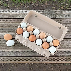 Egg Cartons (30-Pack) | 12 Count | Biodegradable & Recycled Pulp | Perfect for Family-owned Farm (Brown, 30)
