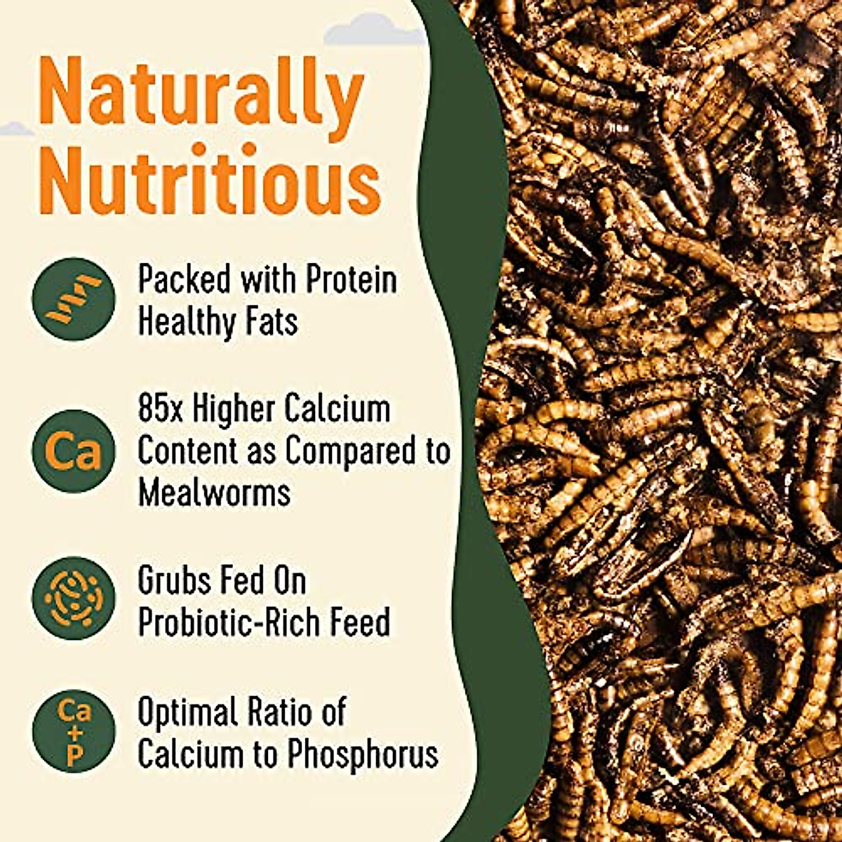 Supreme Grubs Natural Black Soldier Fly Larvae for Chickens, 85X More Calcium Than Mealworms-High Protein Grub Food Chicken Treats for Hens, Probiotic-Rich Chicken Feed, Calcium-Dense Bird Treat 5lb
