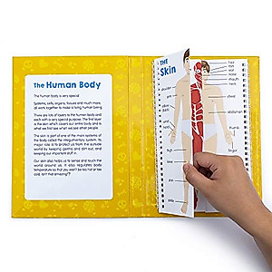 Junior Learning JL647 Anatomy Flips, Multi