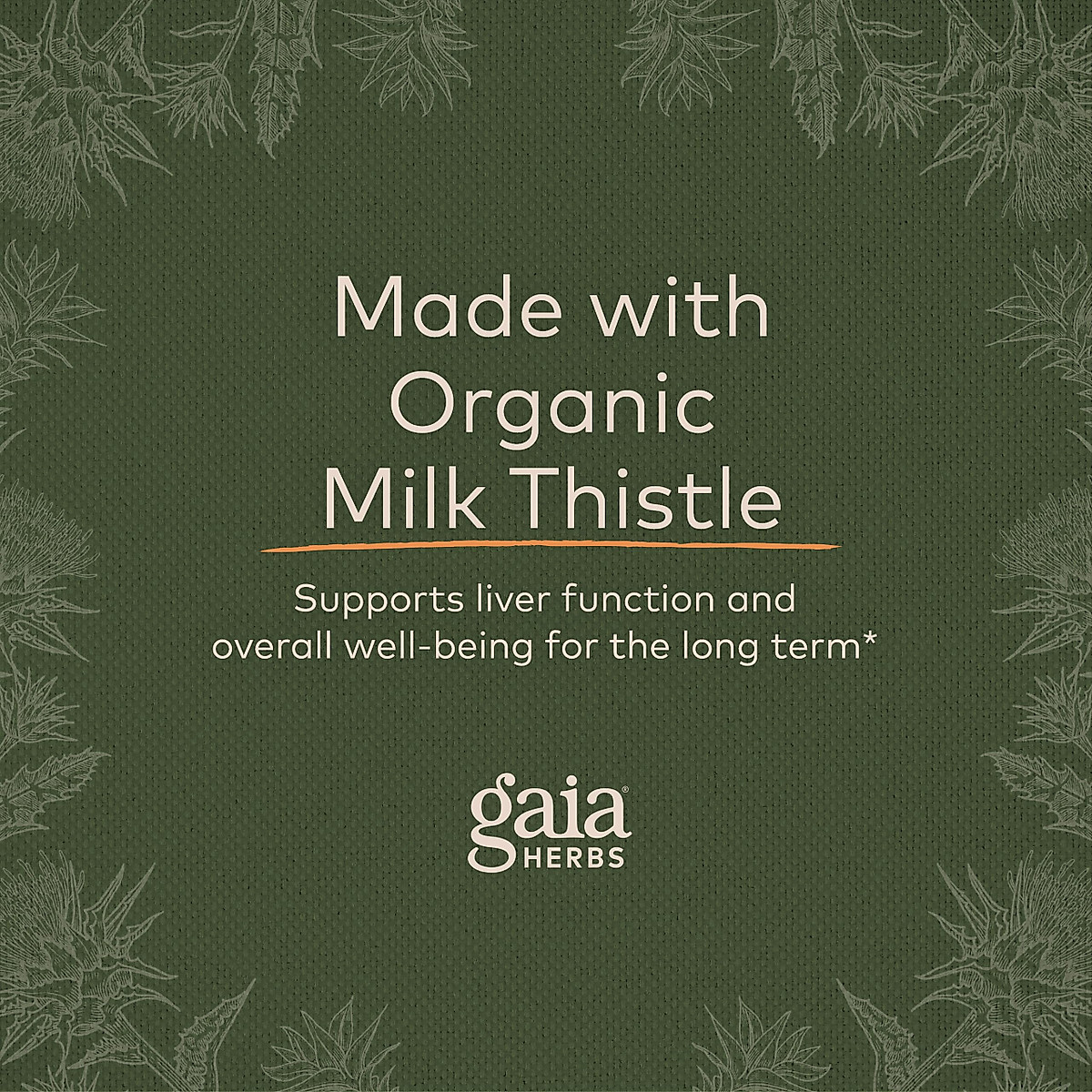 Gaia Herbs Milk Thistle - Liver Supplement & Cleanse Support for Maintaining Healthy Liver Function* - 120 Vegan Capsules (40-Day Supply)
