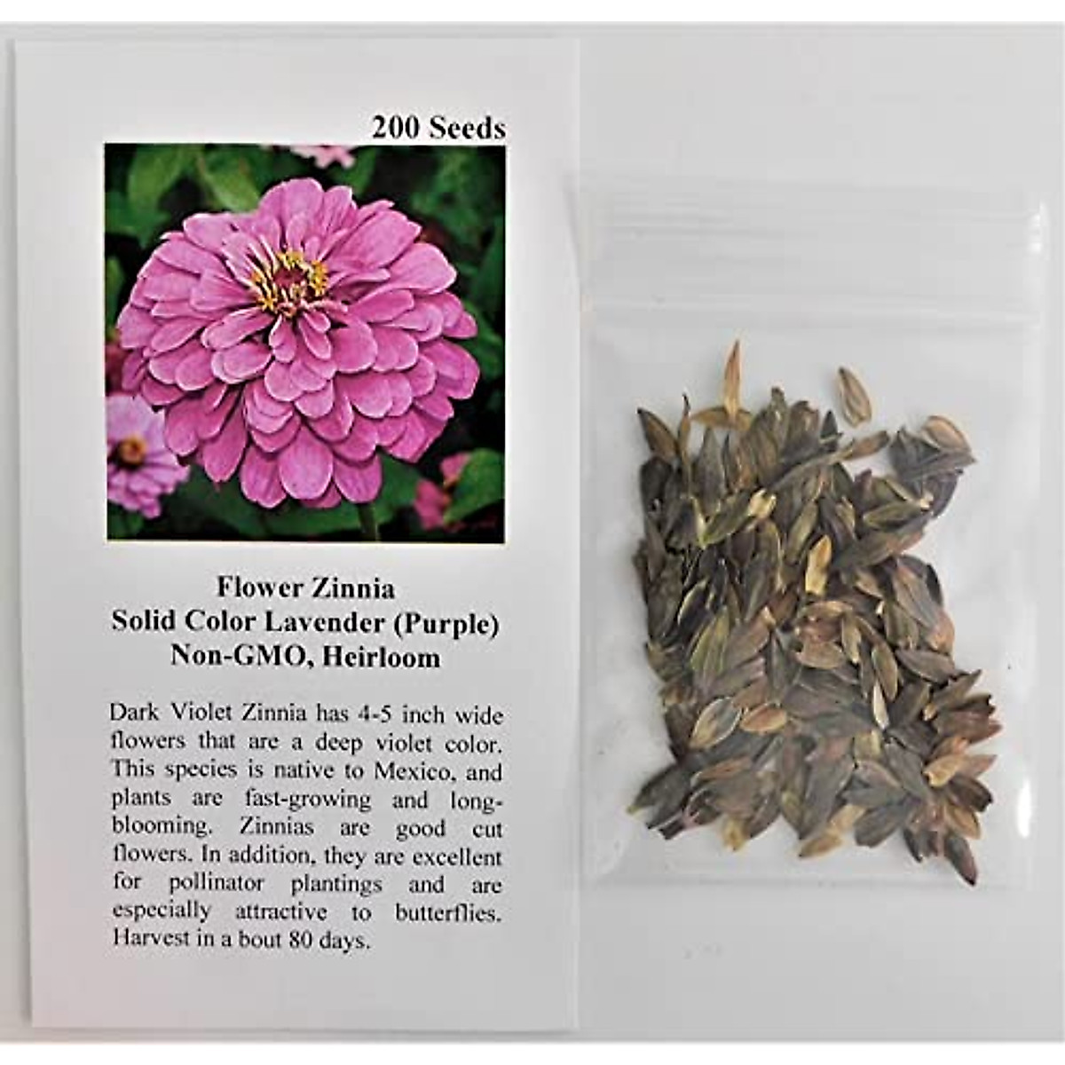 David's Garden Seeds Flower Zinnia Solid Color Lavender FBA-1162 (Purple) 200 Non-GMO, Heirloom Seeds