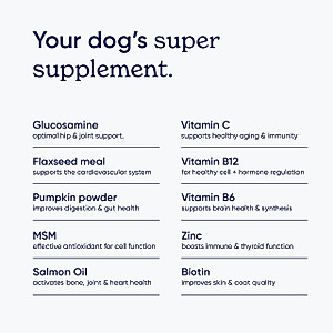 Willo All-in-1 Multifunctional Supplements for Dogs - with Glucosamine, Omega 3's, Essential Vitamins | Joint Support, Gut & Immune Health, Skin & Coat, Heart Health | 90 Soft Chews