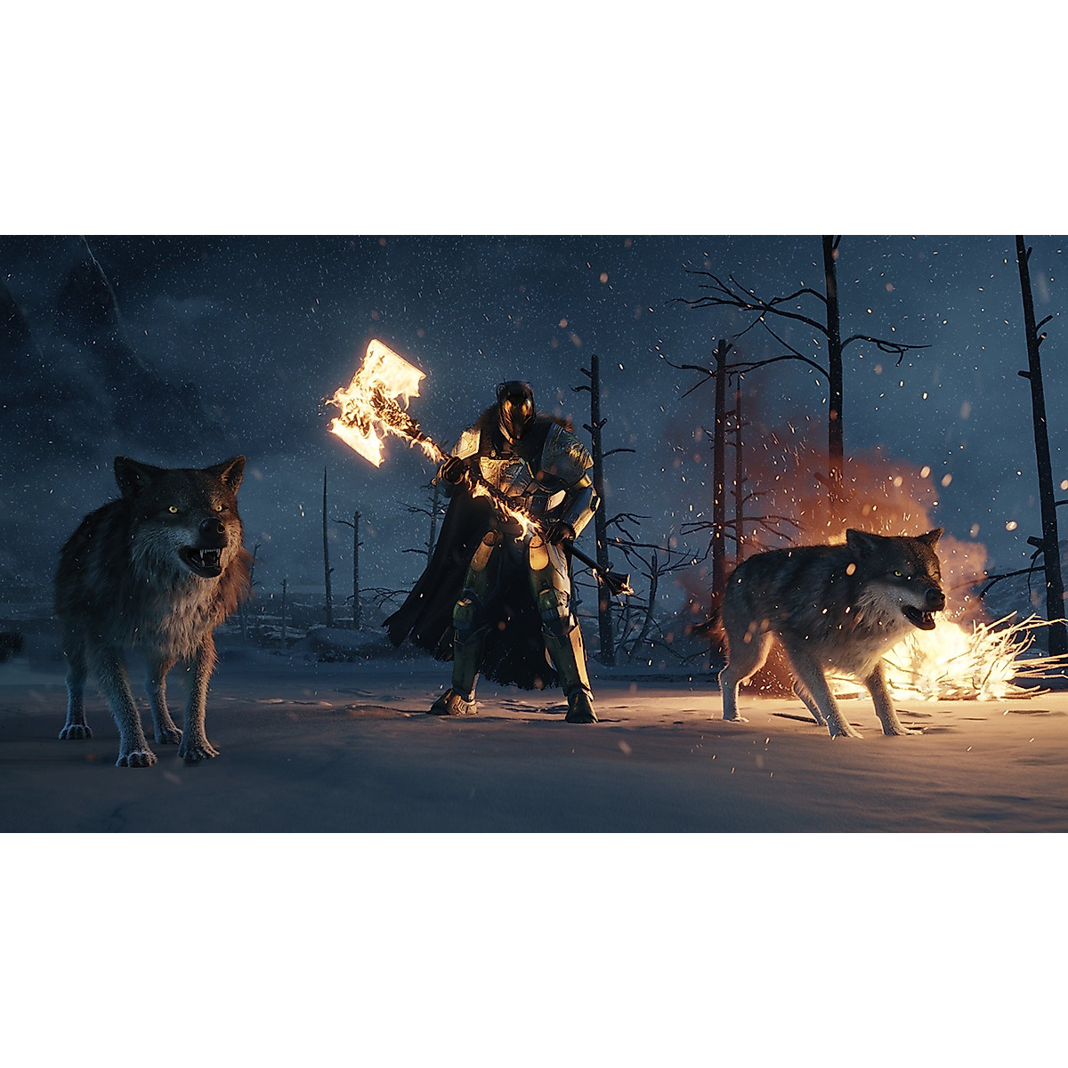 Destiny: The Collection (PS4)