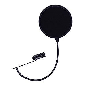 Audio-Technica AT2035 Cardioid Condenser Microphone Bundle with Pop Filter, XLR Cable, and Austin Bazaar Polishing Cloth