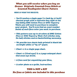 Orenco Originals Long Billed Hummingbird Detail 2 Gould Bird Counted Cross Stitch Pattern