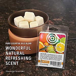 I & Candle, (Set of 4) Orange & Citrus / Lavender / Citronella & Lemongrass / White Tea Aromatherapy Wax Melts. 100% Soy Wax Non-GMO. Made in the USA