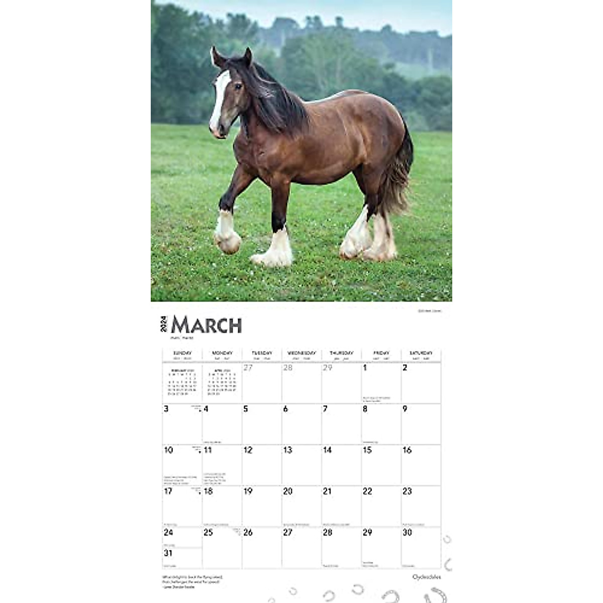 Clydesdales | 2024 12 x 24 Inch Monthly Square Wall Calendar | BrownTrout | Animals Horses