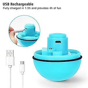 Interactive Cat Toys Ball with LED Light, 360 Degree Self Auto Rotating Intelligent Ball, Smart USB Rechargeable Spinning Cat Ball Toy,Stimulate Hunting Instinct Kitten Funny Chaser Roller Pet Toy