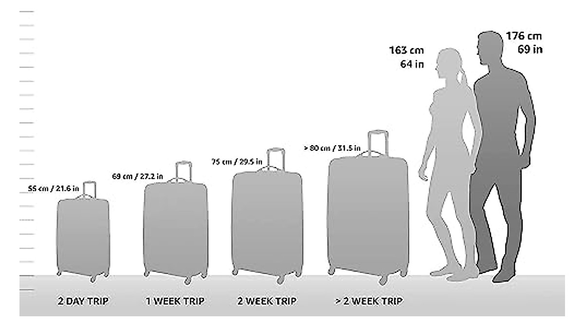 Travel Select Amsterdam 29-Inch Expandable Luggage