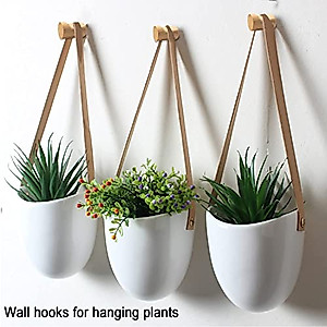 DINGEE 8 Pack Wood Wall Hooks,Natural Wooden Coat Hooks Wall Mounted,Heavy Duty Wooden Pegs for Hanging Hat, Plants, Bathroom Towels Clothes,Minimalist Beech Wood Wall Hooks