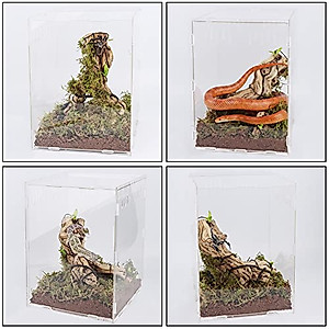 winemana Reptile Terrarium Aquarium Breeding Tank, 14.5" x 10.5" x 10" Acrylic Tarantula Enclosure Feeding Box Insect Habitat for Tarantula Spider Snake Lizard Hermit Crab Insect