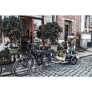 Burley Flatbed™, Aluminum Utility Cargo Bike Trailer