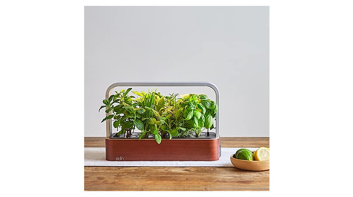 edn SmallGarden Starter Kit for Fresh Home Grown Herbs