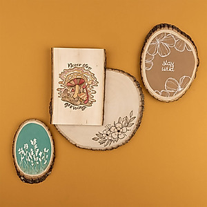 Walnut Hollow Medium Basswood Rustic Round Wood Slices with Live Edge Bark, Bulk Value Pack, 12-Pack