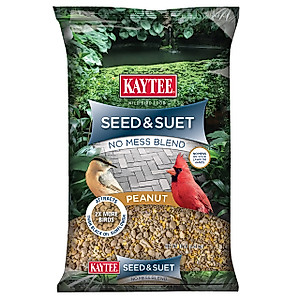Kaytee Seed & Suet No Mess Peanut 10 Pounds