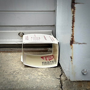 Glue Boards for Mice, Rats, Insects and Other Creepy Crawlers - 13 to A Pack - Traps Mice and Any Other Creepy Crawlers - Indoor Use for Homes and Businesses - Unscented Adhesive Bug Catcher