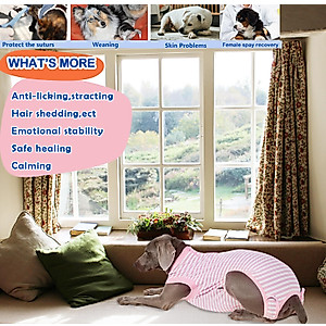 Wabdhally Dog Surgery Recovery Suit for Female Spay,Surgical Suit for Small Female Dogs,Soft Combed Cotton,Striped Pink Onesie XS