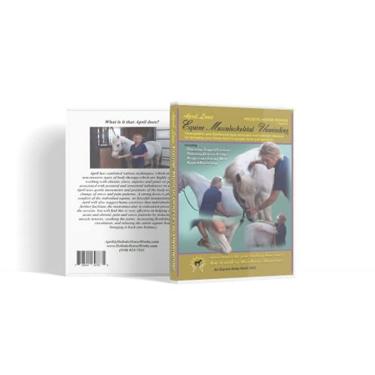 Holistic Horseworks “Level 1: Equine Musculoskeletal Unwinding” DVD Course - Certified Horse Massage Therapy Technique - Earn a Certificate of Completion - For Novice and Pro Horse Lovers