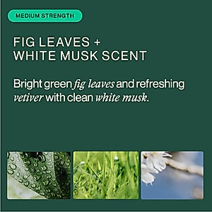 OffCourt Sulfate-Free Body Wash for Men & Women - Non-Drying Exfoliator with Glycolic & Lactic Acids Leaves Skin Fresh & Smooth with Fig Leaves and White Musk Scent, 14 Fl. Oz (Pack of 1)